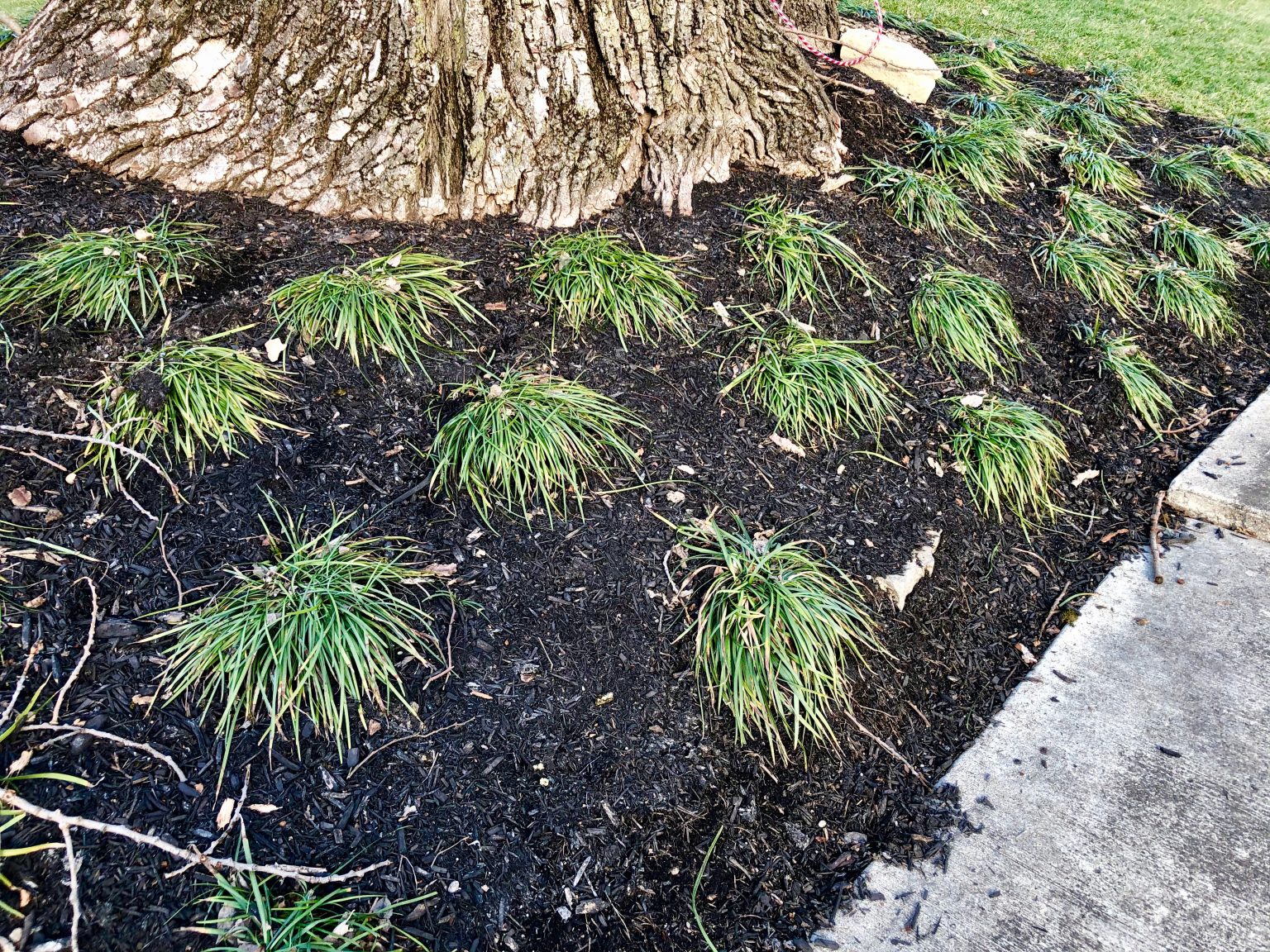 Garden Planning: Ten Ways to Add Winter Interest to Your Garden – Grow ...